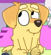 Chucky | Wiki Bluey | Fandom
