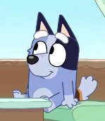 Socks Heeler | Wiki Bluey | Fandom