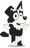 Mackenzie Border Collie/Gallery | Bluey Wiki | Fandom