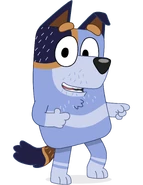 Stripe Heeler | Bluey Wiki | Fandom