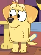 Chucky | Wiki Bluey | Fandom