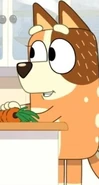 Chilli Heeler/Gallery | Bluey Wiki | Fandom