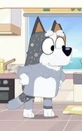 Bob Heeler | Bluey Wiki | Fandom