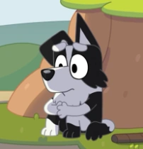 Space/Gallery | Bluey Wiki | Fandom