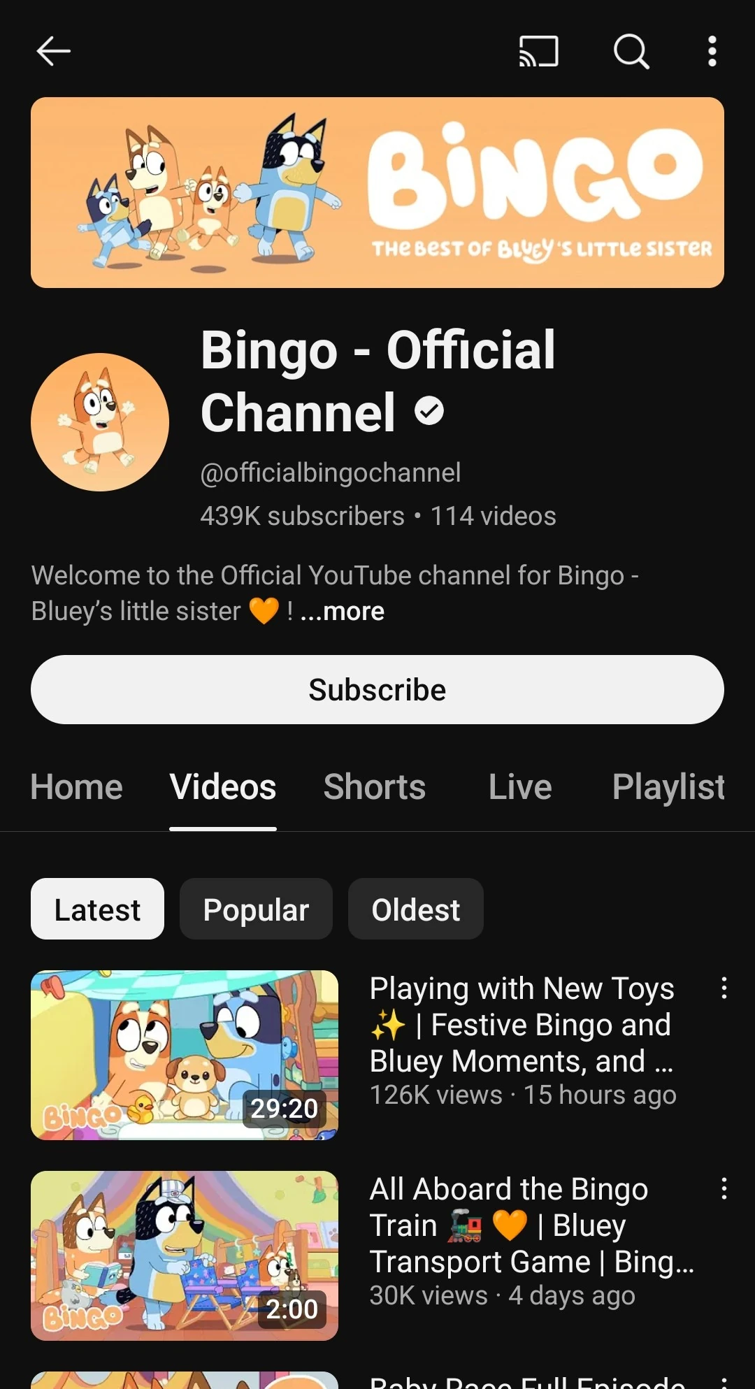 Bingo - Official Channel | Bluey Wiki | Fandom