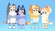 Heeler family | Bluey Wiki | Fandom