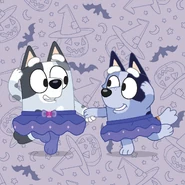 Socks Heeler | Wiki Bluey | Fandom