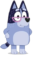 Chris Heeler | Bluey Wiki | Fandom