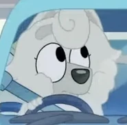 Wendy/Gallery | Bluey Wiki | Fandom