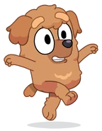 Dougie | Bluey Wiki | Fandom