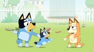 The Weekend (Pilot Cut)/Gallery | Bluey Wiki | Fandom