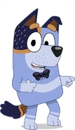 Stripe Heeler/Gallery | Bluey Wiki | Fandom