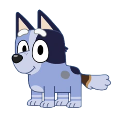 Socks Heeler | Wiki Bluey | Fandom