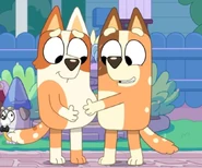 Brandy Cattle/Gallery | Bluey Wiki | Fandom