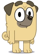 Buddy | Bluey Wiki | Fandom