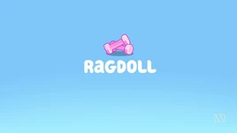 Ragdoll | Bluey Wiki | Fandom