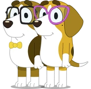 Daisy | Bluey Wiki | Fandom