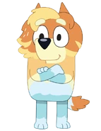 Radley Heeler/Gallery | Bluey Wiki | Fandom