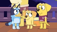 Lucky | Bluey Wiki | Fandom
