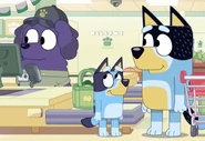 Checkout Lady | Bluey Wiki | Fandom