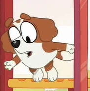 Bentley/Gallery | Bluey Wiki | Fandom