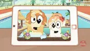 Radley Heeler/Gallery | Bluey Wiki | Fandom