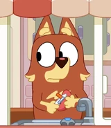 Rusty's Mum | Bluey Wiki | Fandom