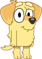 Chucky/Gallery | Bluey Wiki | Fandom