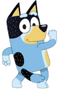 Bandit Heeler | Bluey Wiki | Fandom