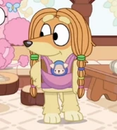 Indy | Bluey Wiki | Fandom