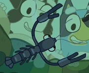 Animals | Bluey Wiki | Fandom