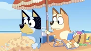 Stickbird/Gallery | Bluey Wiki | Fandom