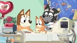 Doctor | Bluey Wiki | Fandom