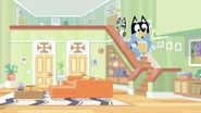 Bluey's House | Bluey Wiki | Fandom