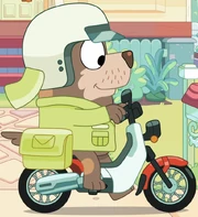 Vehicles | Bluey Wiki | Fandom