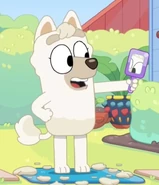 Wendy | Wiki Bluey | Fandom