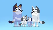 Socks Heeler/Gallery | Bluey Wiki | Fandom
