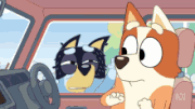 Onesies/Gallery | Bluey Wiki | Fandom