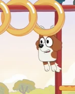 Bentley/Gallery | Bluey Wiki | Fandom