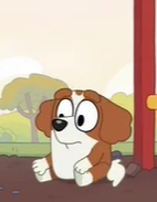 Bentley/Gallery | Bluey Wiki | Fandom