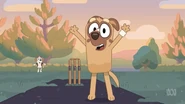 Tiny C. | Bluey Wiki | Fandom