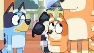 Mr Monkeyjocks/Gallery | Bluey Wiki | Fandom