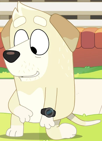 Surfer (Show And Tell) | Bluey Wiki | Fandom