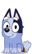Socks Heeler/Gallery | Bluey Wiki | Fandom