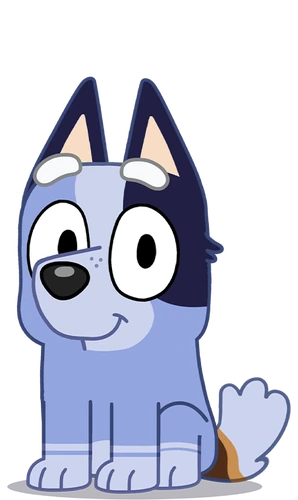 Socks Heeler | Bluey Wiki | Fandom