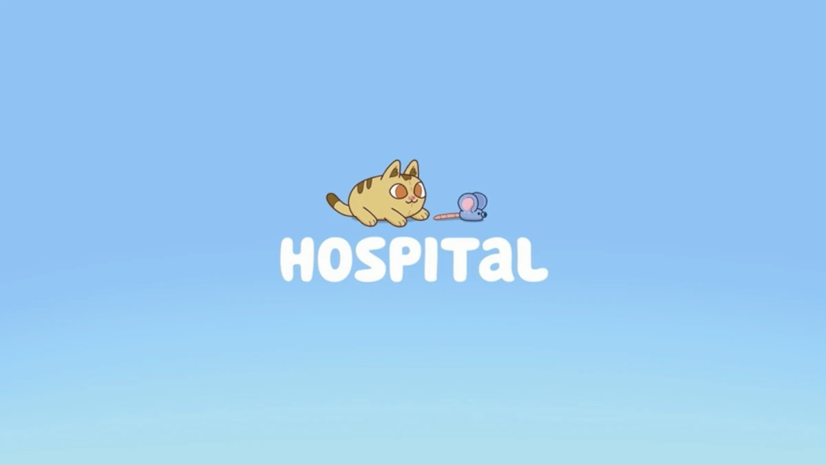 Hospital | Bluey Wiki | Fandom