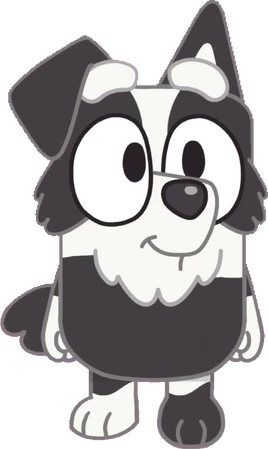 Mackenzie Border Collie | Bluey Wiki | Fandom