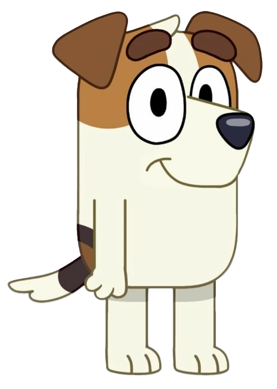 Jack Russell | Bluey Wiki | Fandom