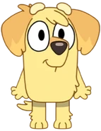 Chucky/Gallery | Bluey Wiki | Fandom