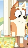 Brandy Cattle | Bluey Wiki | Fandom